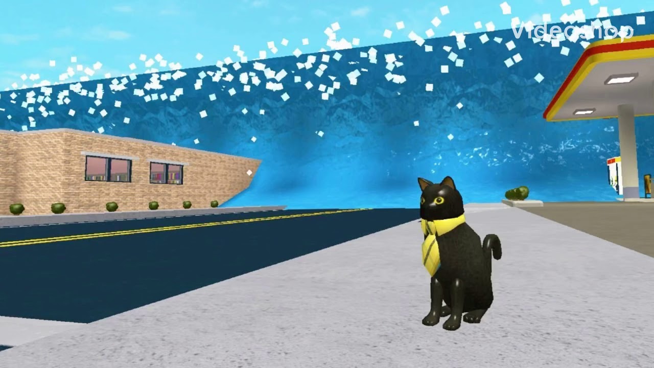 (The device) what happened to sir meows a lot - YouTube