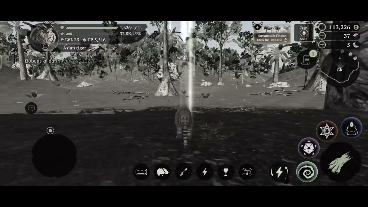 zombie tigers (tiger movie) horror animals story - YouTube