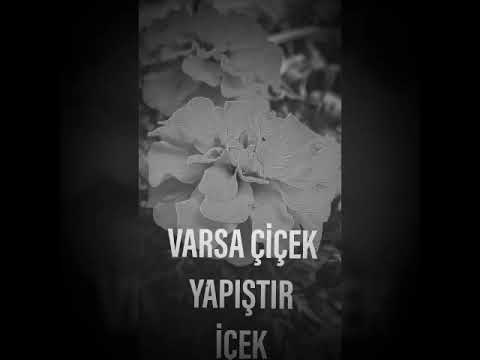 Nigar Muharrem - Ciğeri Yakıyor