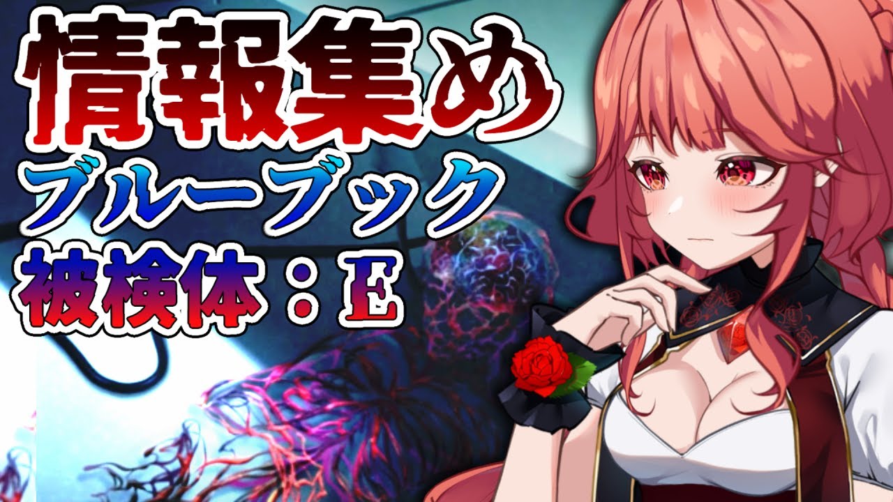 【＃FGO考察】被検体：E？ブルーブックなどの情報集める！【個人Vtuber】 - YouTube