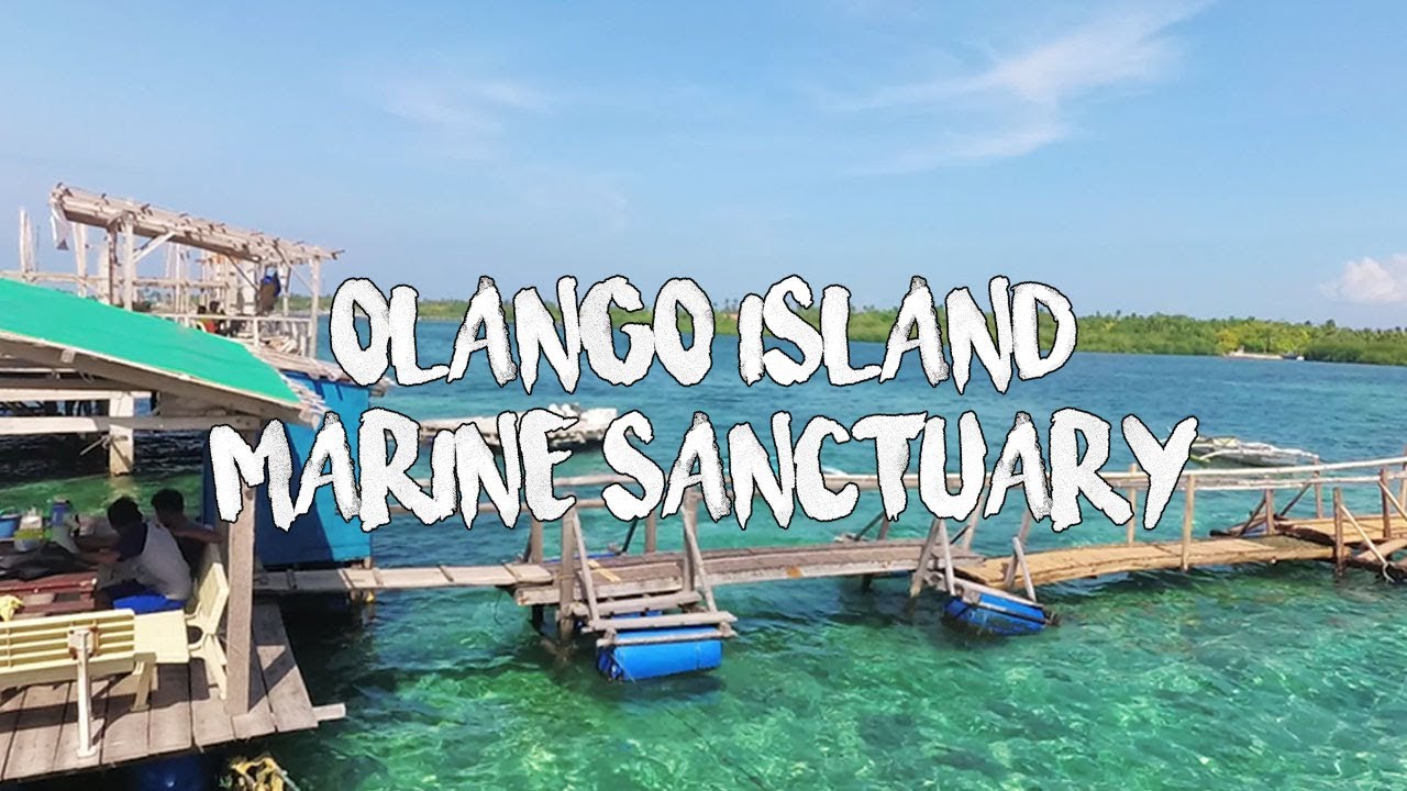 A Glimpse of Olango Island, Cebu - YouTube