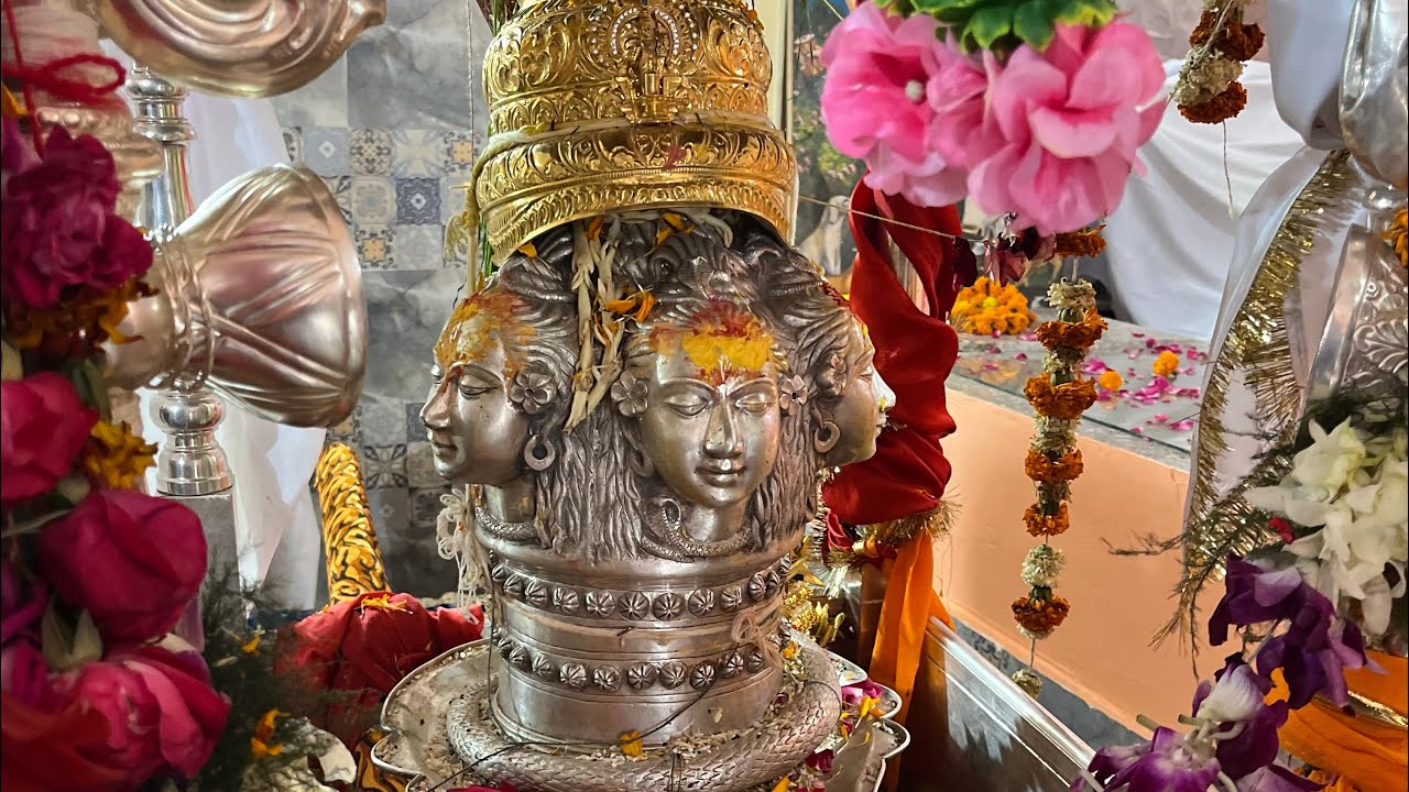 Kitni Pyari hai Kedarnath Ki Doli 🔱 #kedarnathyatra2023 # ...