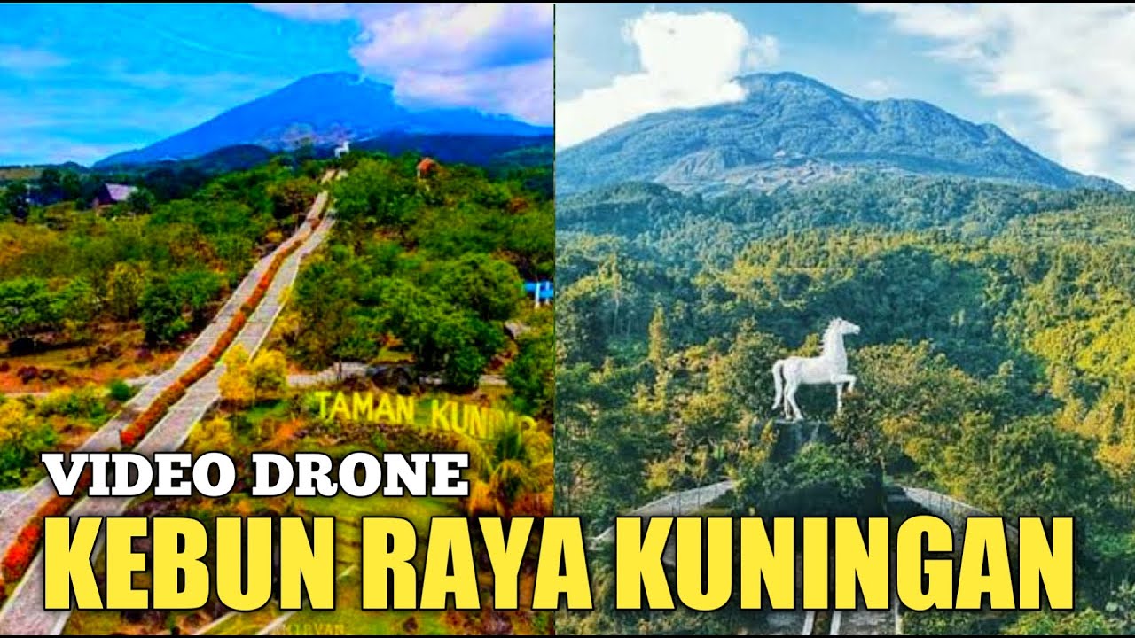 Kebun Raya Kuningan - Taman Kuning || Video Drone Pariwisata Desa - YouTube
