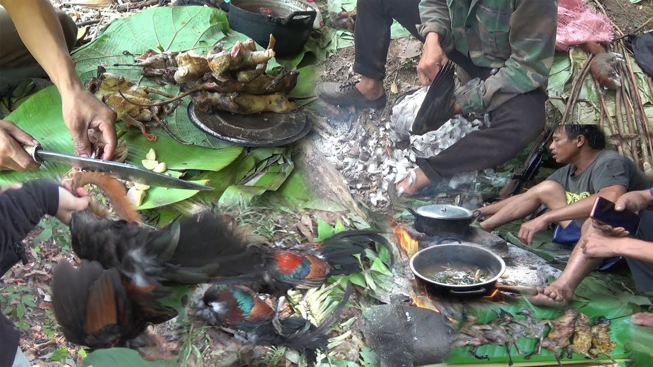 Hunting Wild Chicken, Birds and Squirrels, Pigeons In The Jungle ...