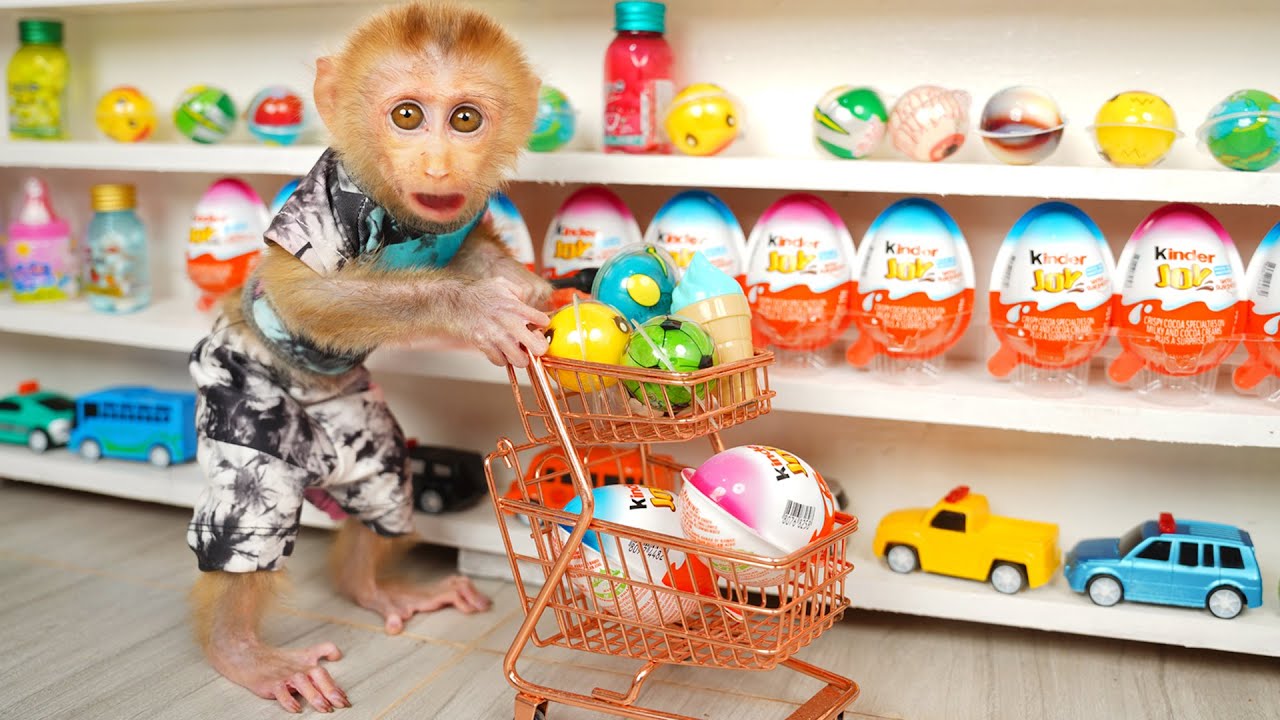 Monkey Baby Jo Jo go to supermarket to buy some food for eat with ...