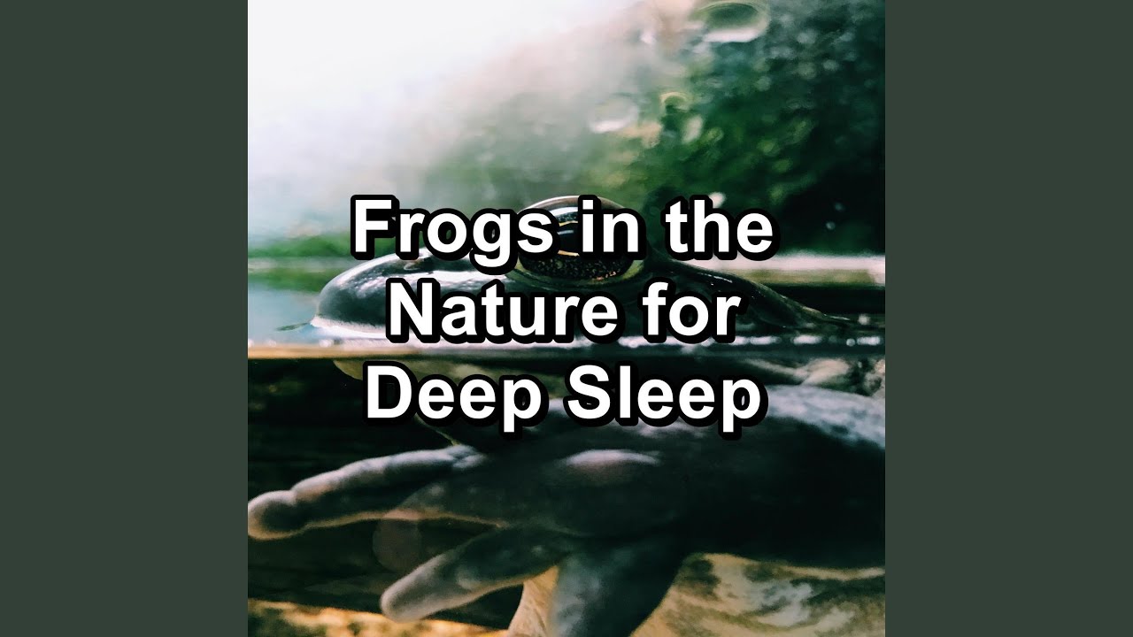 Forest Frogs Marsh Sound - YouTube