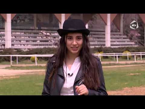 Atlara qulluq ve qaygi