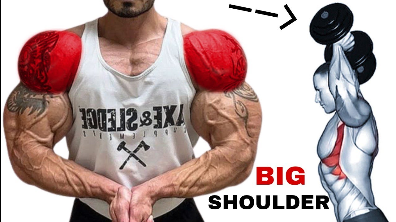7 Best Shoulder Exercises at Gym to Make Bigger Shoulders - YouTube