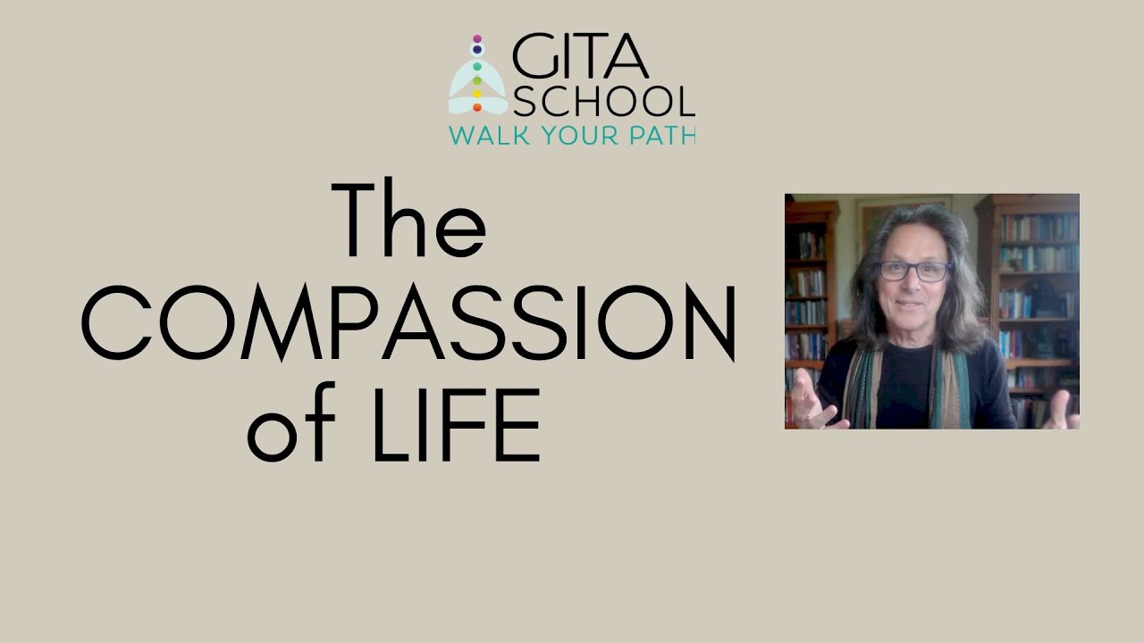 The Compassion of Life - YouTube
