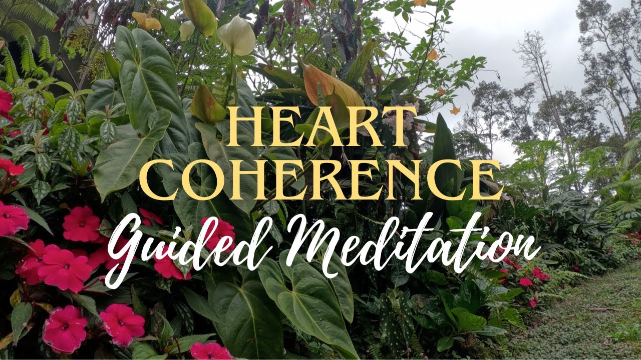 Heart Coherence Meditation | 30 minute guided meditation - YouTube