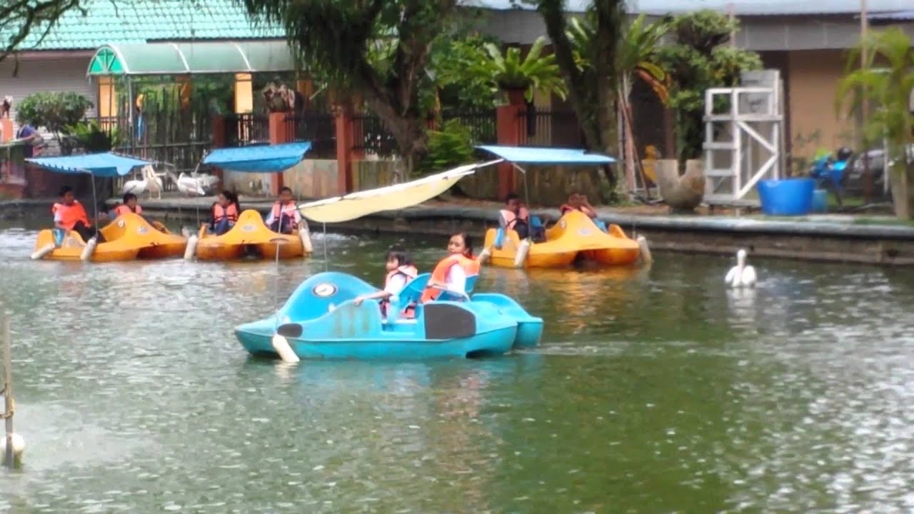 Zoo Jb( Boat ride) - YouTube