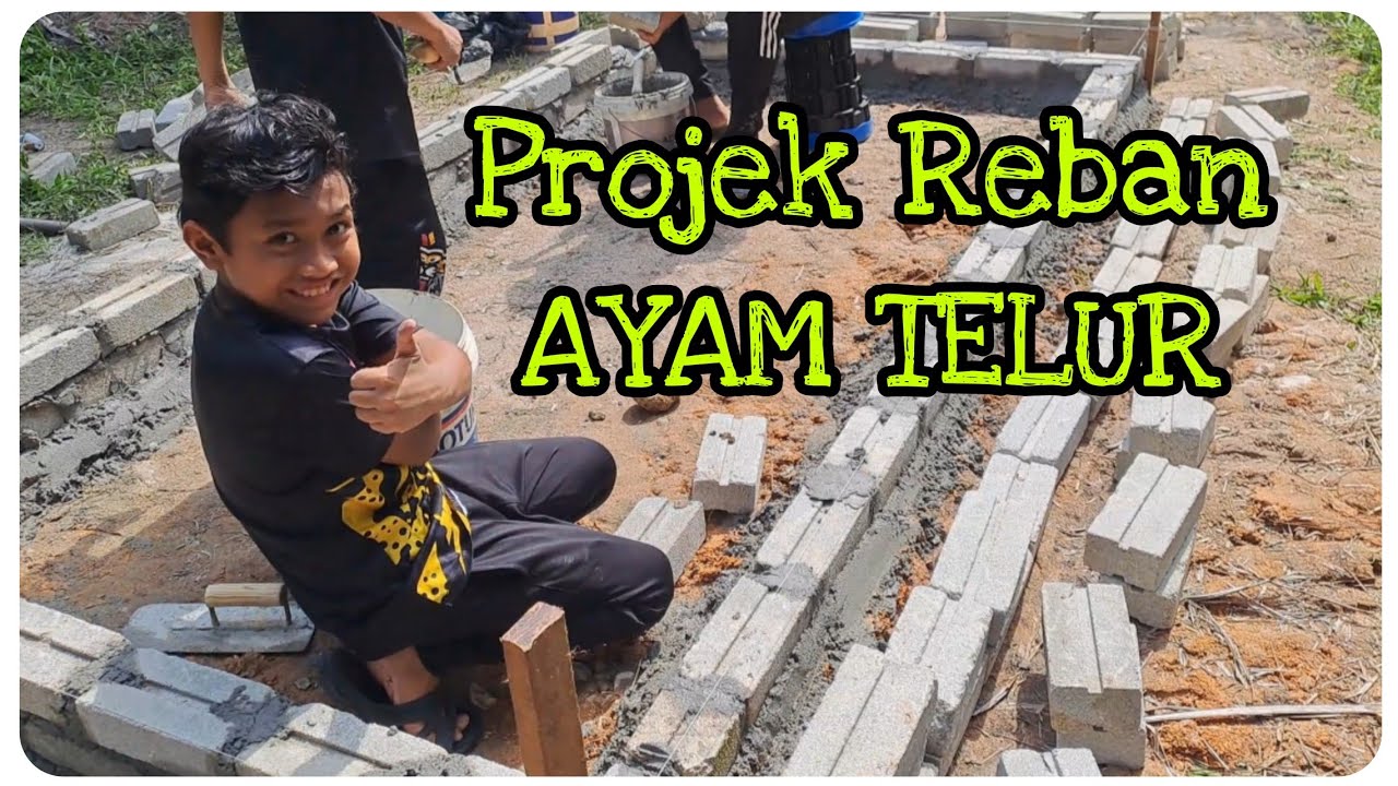 Bina Reban Ayam untuk Ayam Penelur Lohmann Brown - YouTube