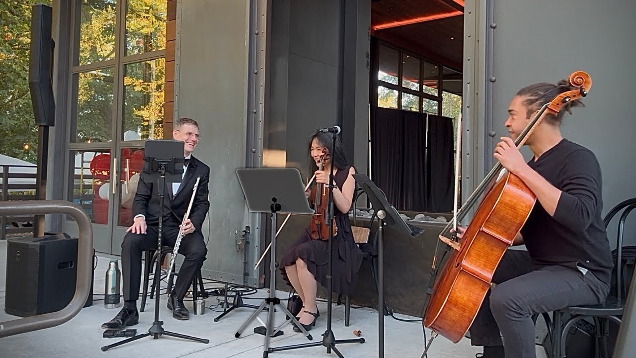 String Trio Live Performance - YouTube