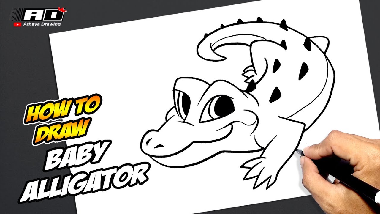How to draw Baby Alligator - YouTube