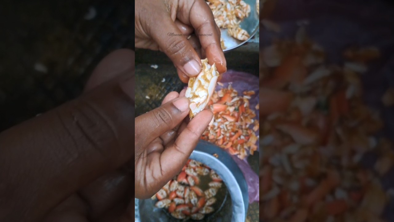 illi poochi,mole crab,ural cooking #crabfood #healthy #tastyrecipes # ...