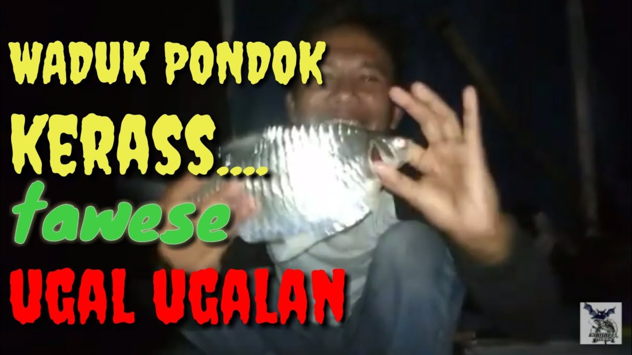 mancing di WADUK PONDOK NGAWI -- sepot sendang blimbing horor babon ...