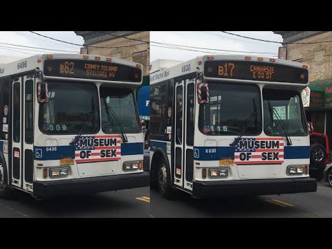 MTA NYC Bus Orion VII OG Hybrid’s #6496/6830 B82/B17 - YouTube