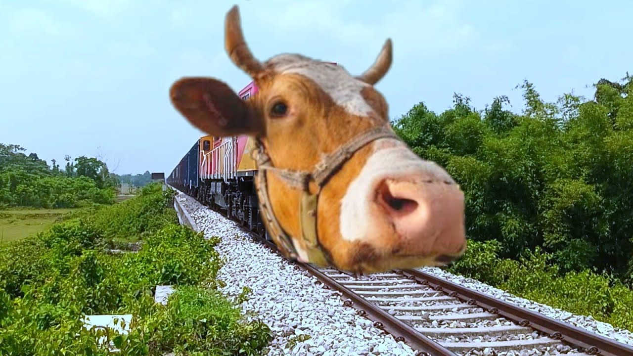 Big cow train gadi. train gadi. billi wala train. - YouTube