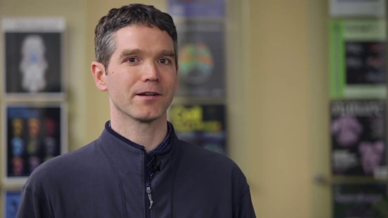 Women in Neuroscience with Jason Lerch - YouTube