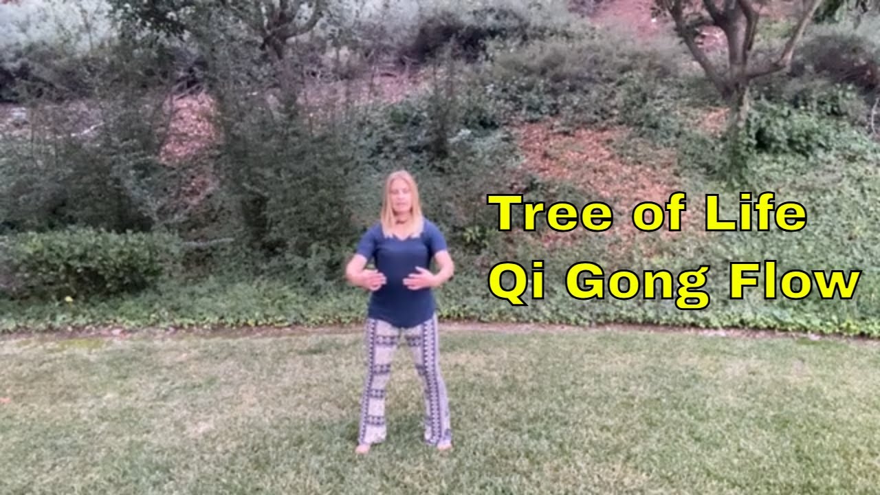 Tree of Life Qi Gong Flow - YouTube