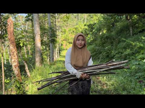 MENDERITA KORBAN PERCERAIAN...!!! AYAH MENINGGAL, IBU MERANTAU || GADIS YATIM TINGGAL DI HUTAN