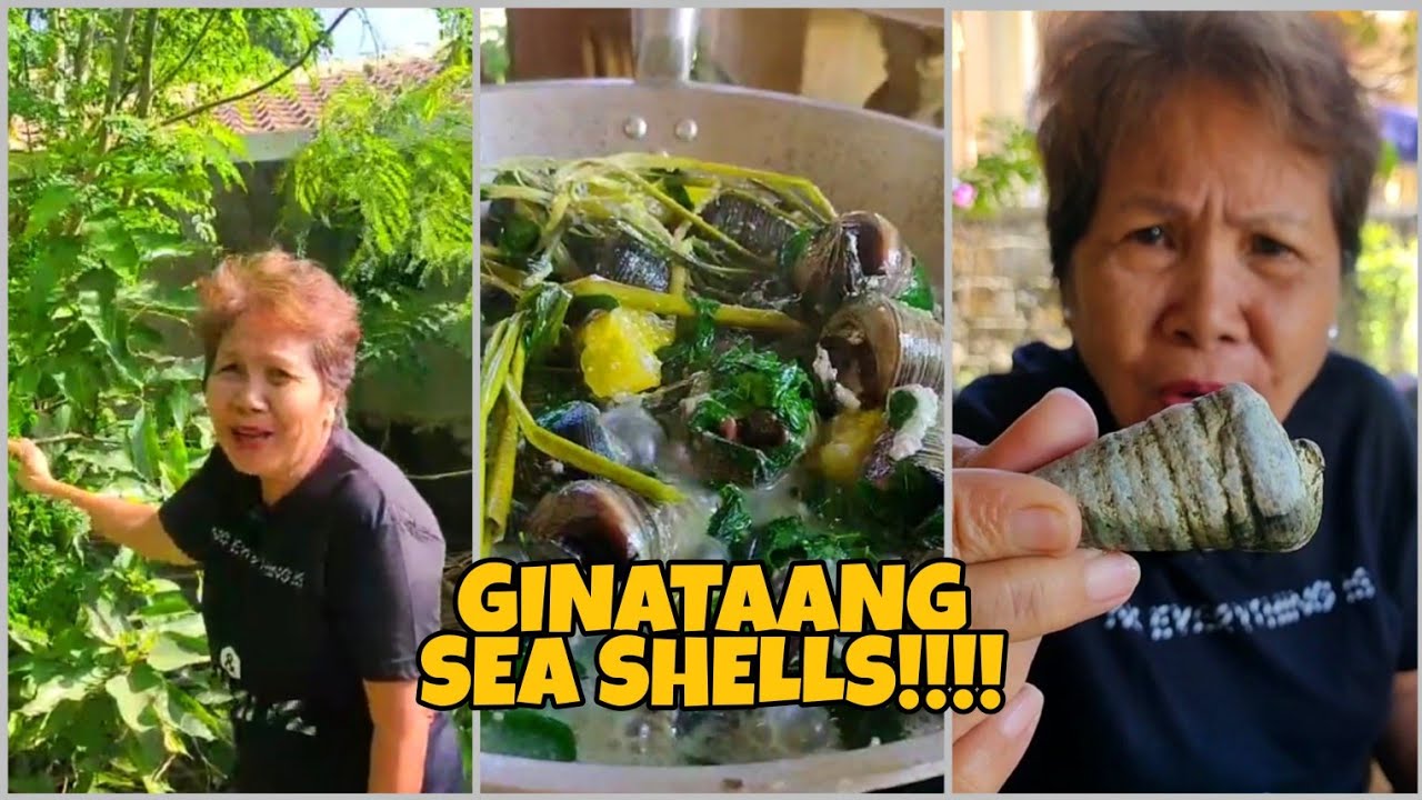 COOKING GINATAANG SEA SHELL!! BAGONGON!!! SUSO!! - YouTube