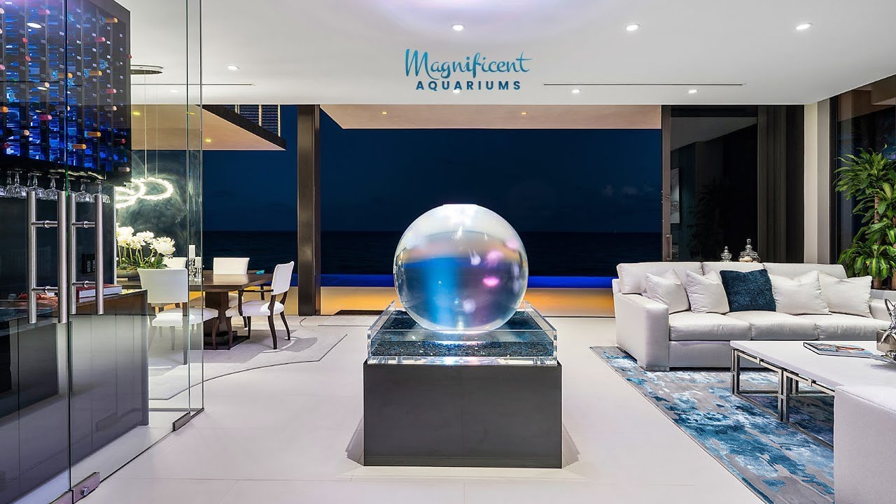 Moon Jellyfish Tank - YouTube