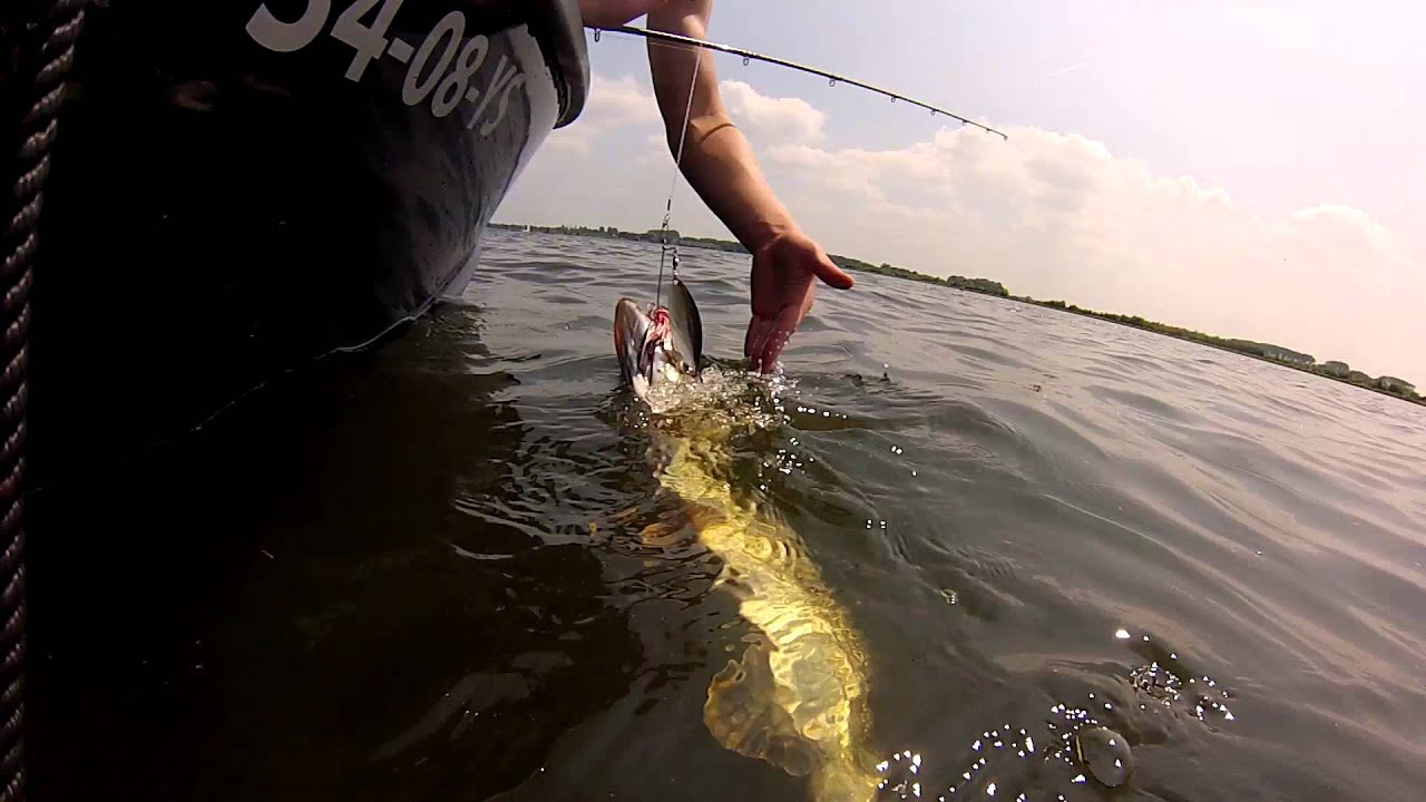 Groot water, grote snoek? - YouTube