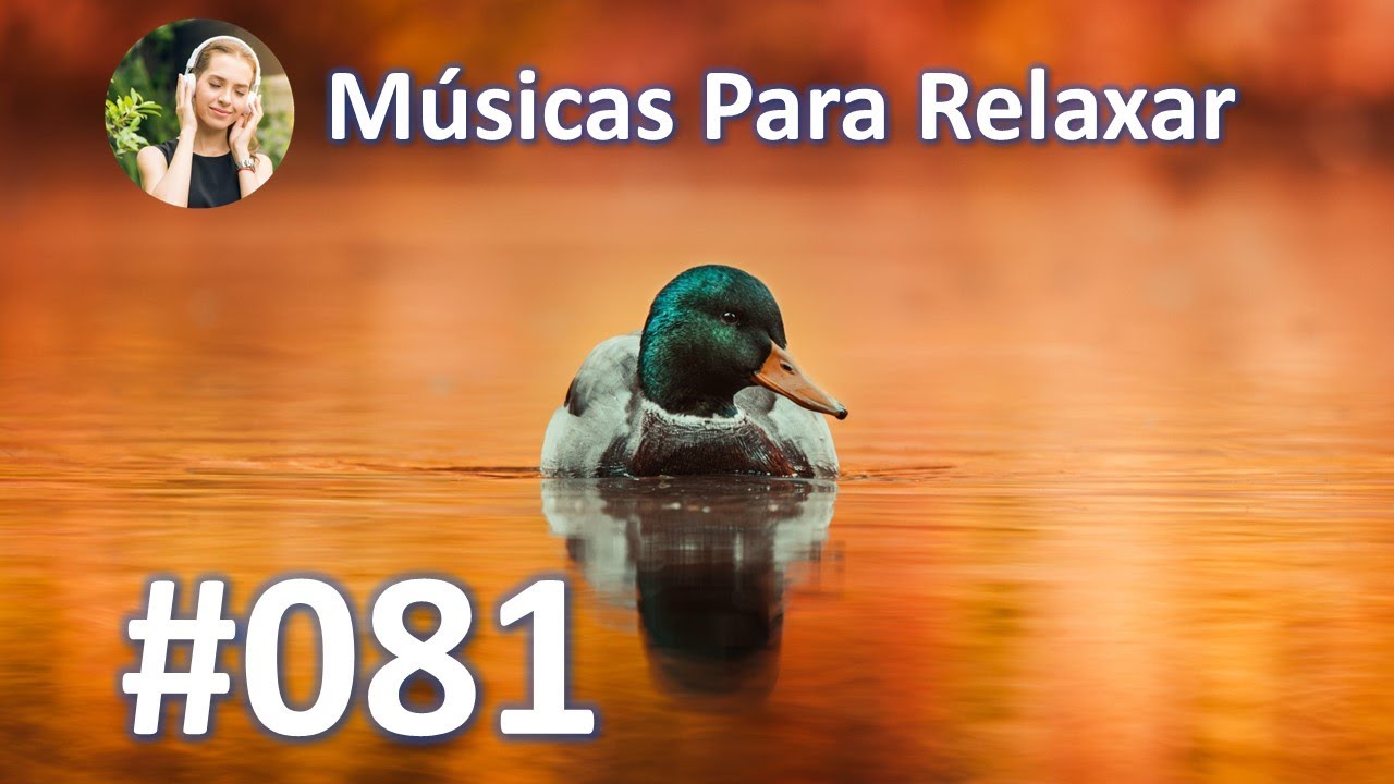 Músicas para Relaxar, Dormir e Meditar #081 - Música relaxante para ...