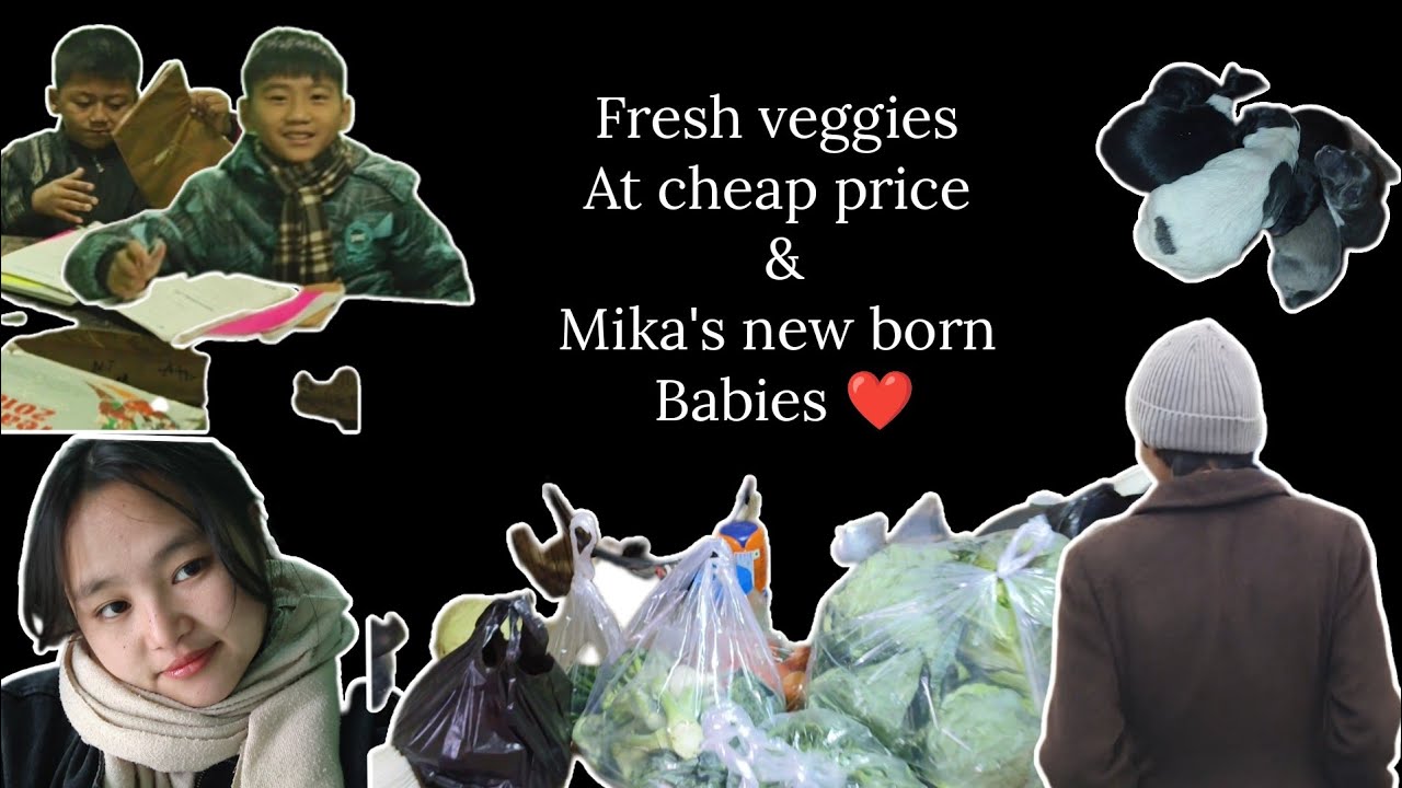 Fresh veggies at cheap price 💚// mika give birth to her lil ones (babies ) 🐶 ️// #dailylifevlog ...
