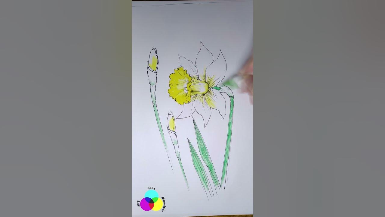 ЯК НАМАЛЮВАТИ НАРЦИС Shorts Youtube