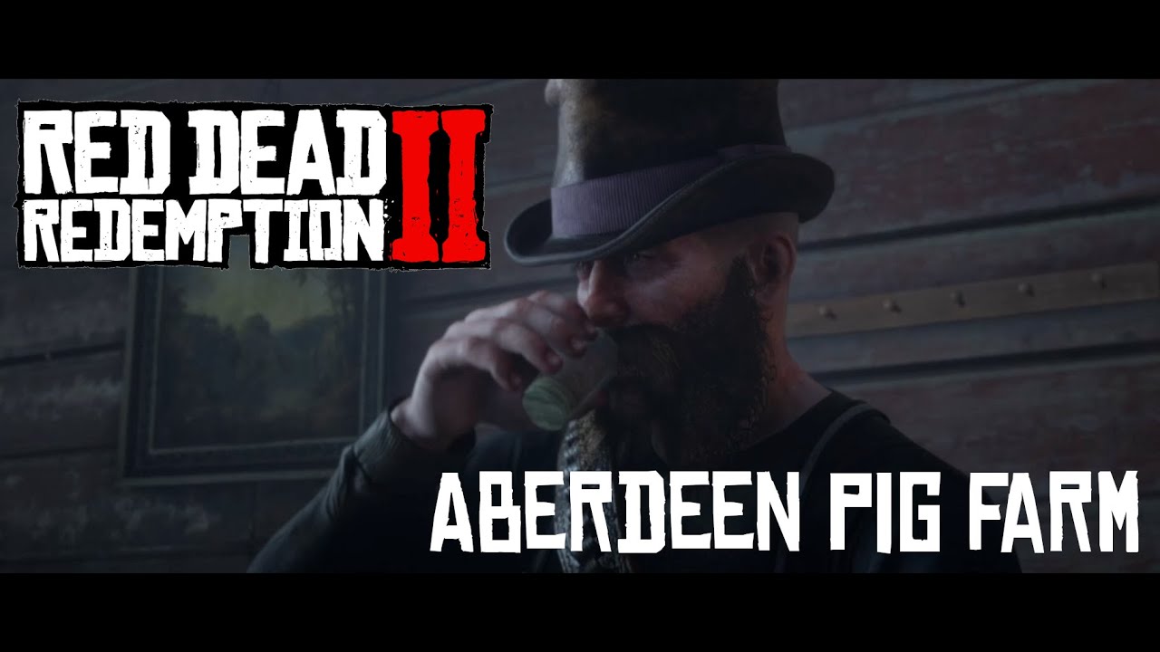 Aberdeen Pig Farm Experiments - YouTube