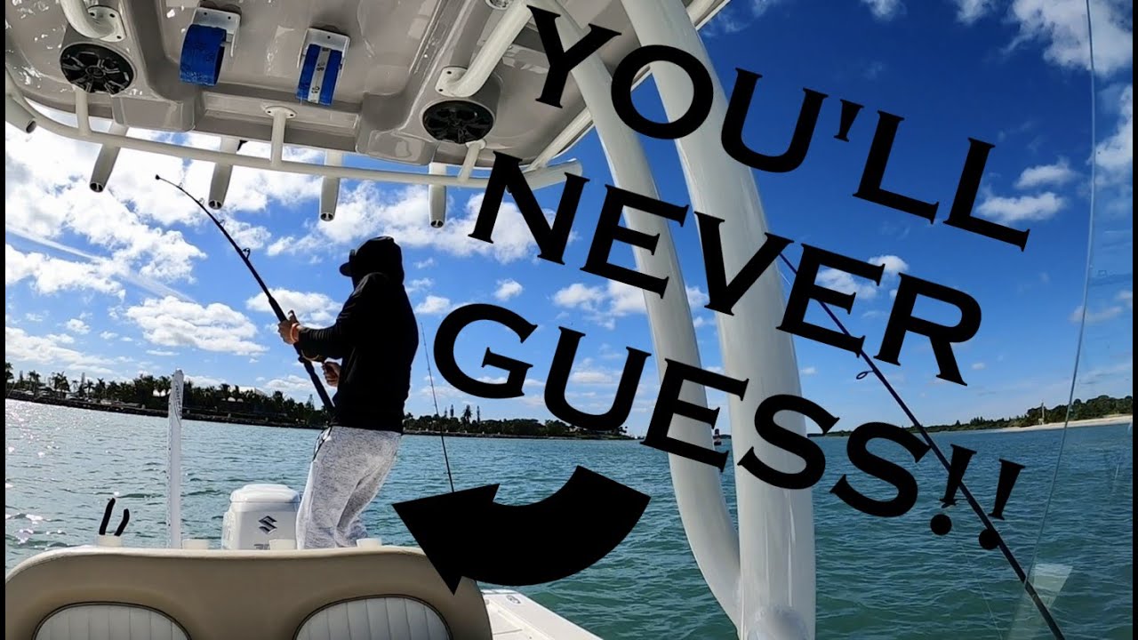 Ft. Pierce Inlet Fishing - YouTube