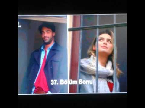 Birce sarp