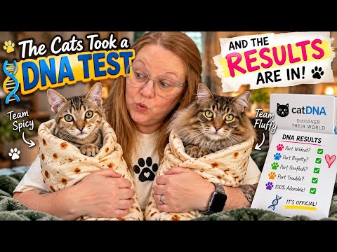 The DNA results are in for Tigger Eugene and Maple Syrup 