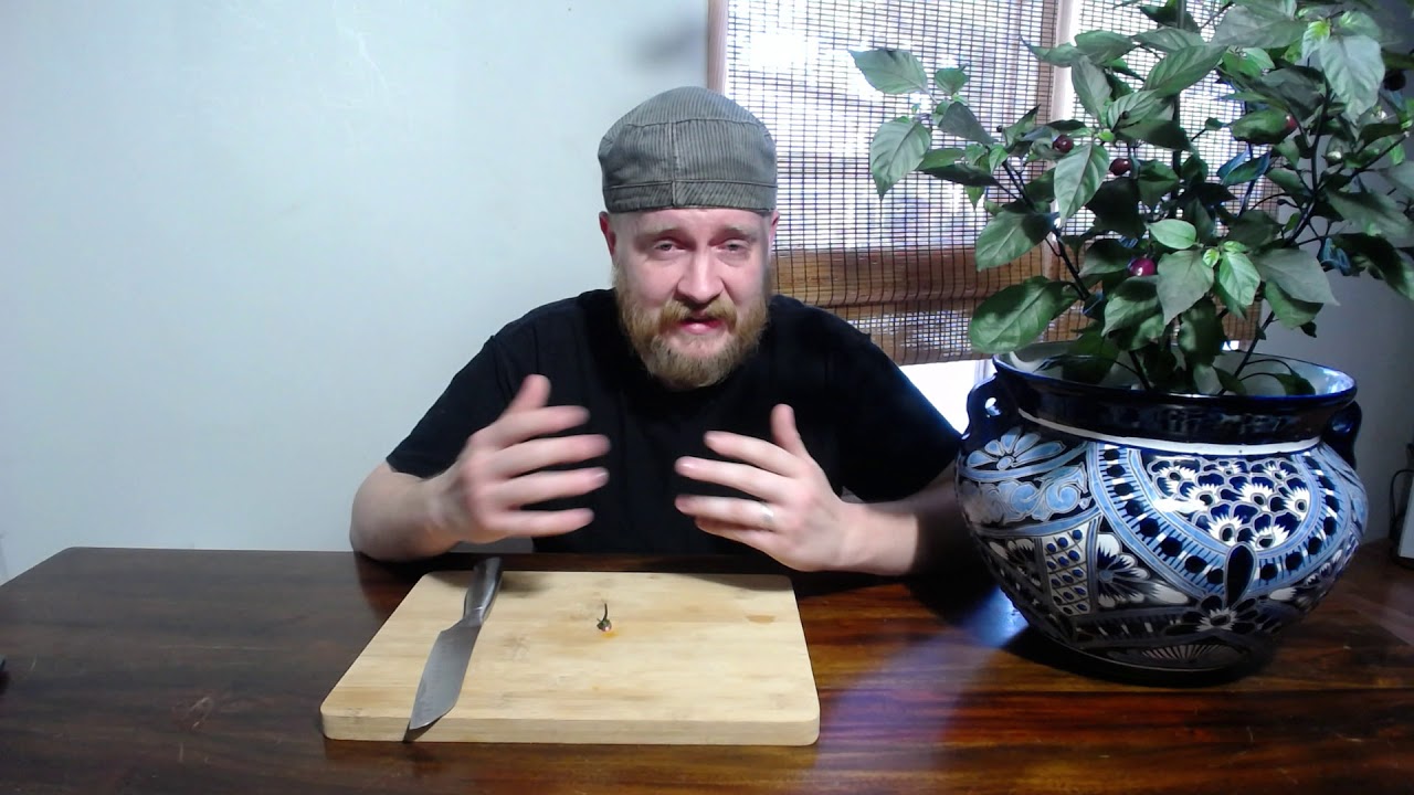 Cheiro Roxa Chili Pepper Tasting - YouTube