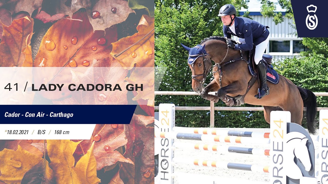 41 Lady Cadora GH - 104. Elite-Auktion 2025 - YouTube