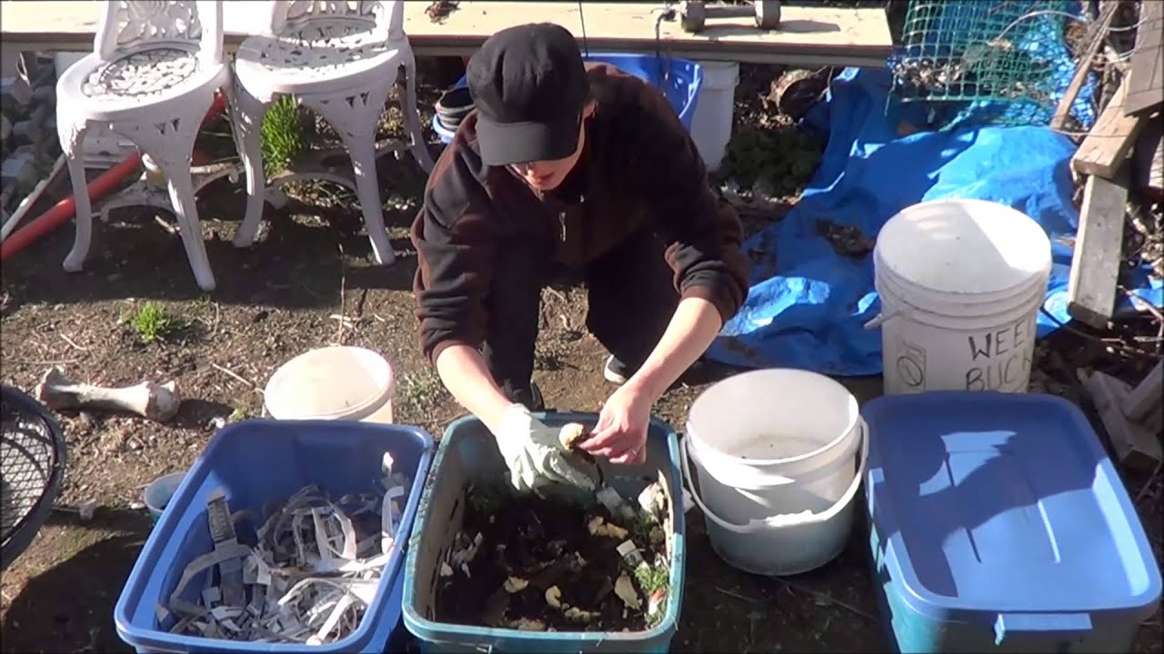 Worm Bin: Building the Layers - YouTube