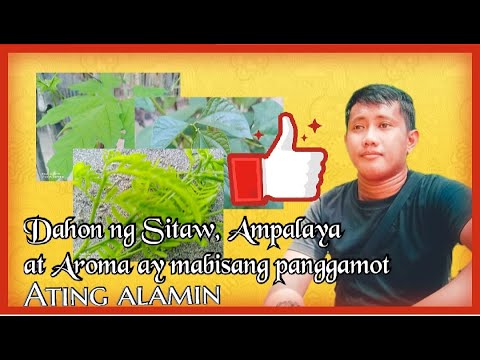 Halamang Gamot Tv, Gamot sa Alipunga, Sore Eyes at Manas - YouTube