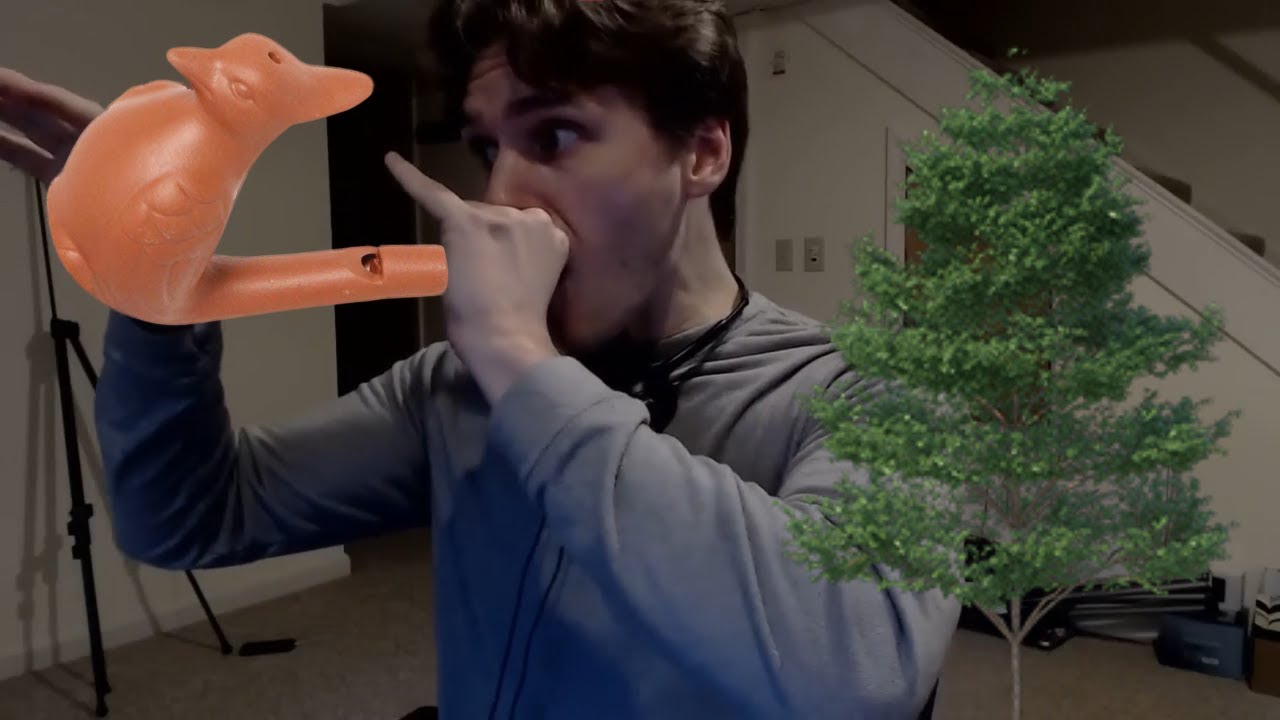 Jerma teacher noise - bird water whistle dub - YouTube