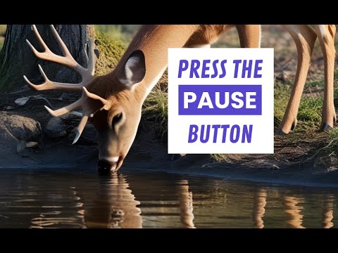 Press the Pause Button (SOFT POP SONG | AI GENERATED MUSIC) - YouTube