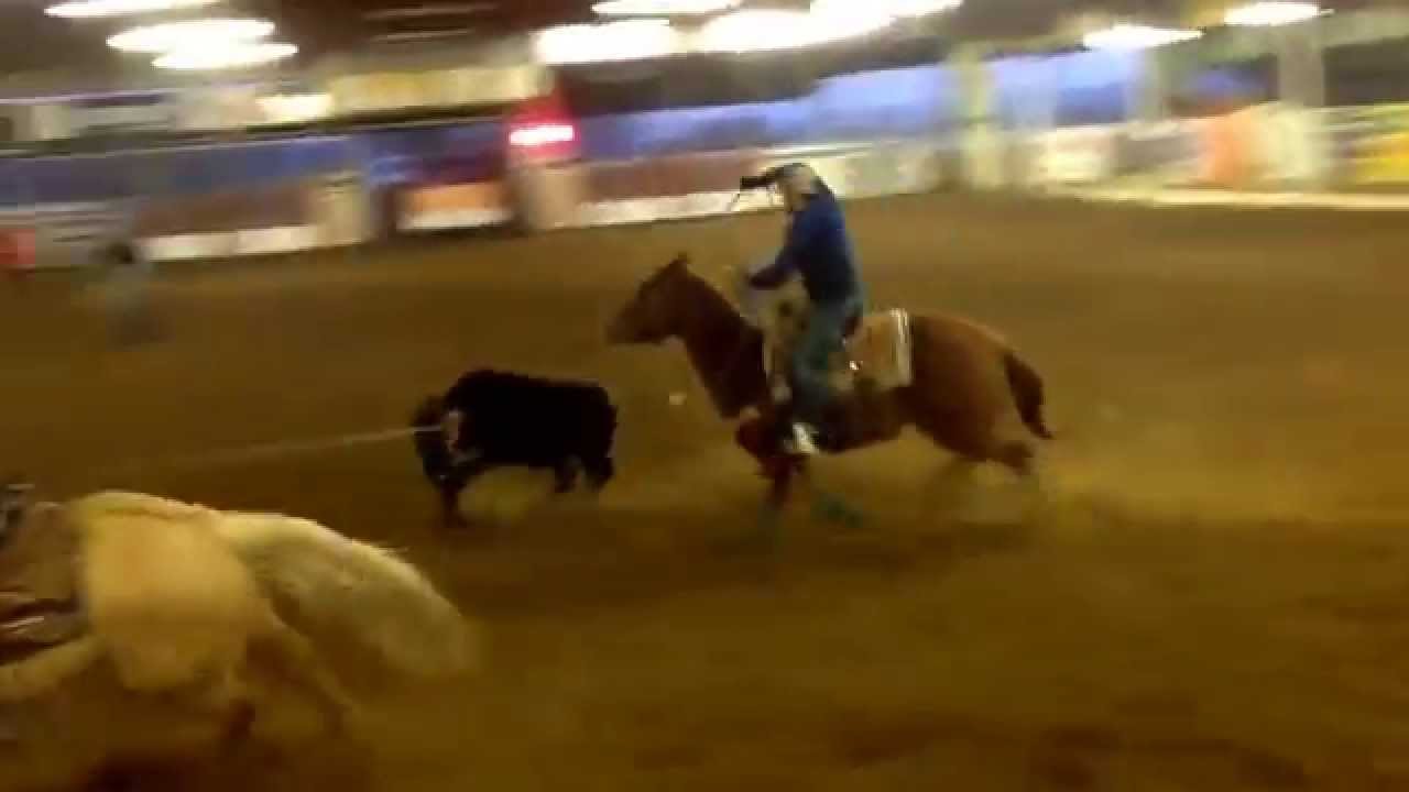 Heading on Boogie, Team roping practice - YouTube