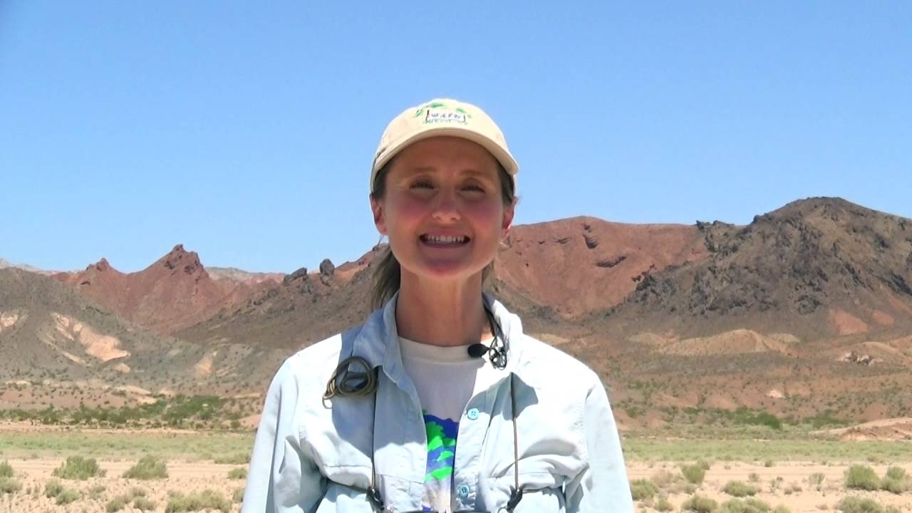 Water Works Wednesday - Environmental Biologist - YouTube