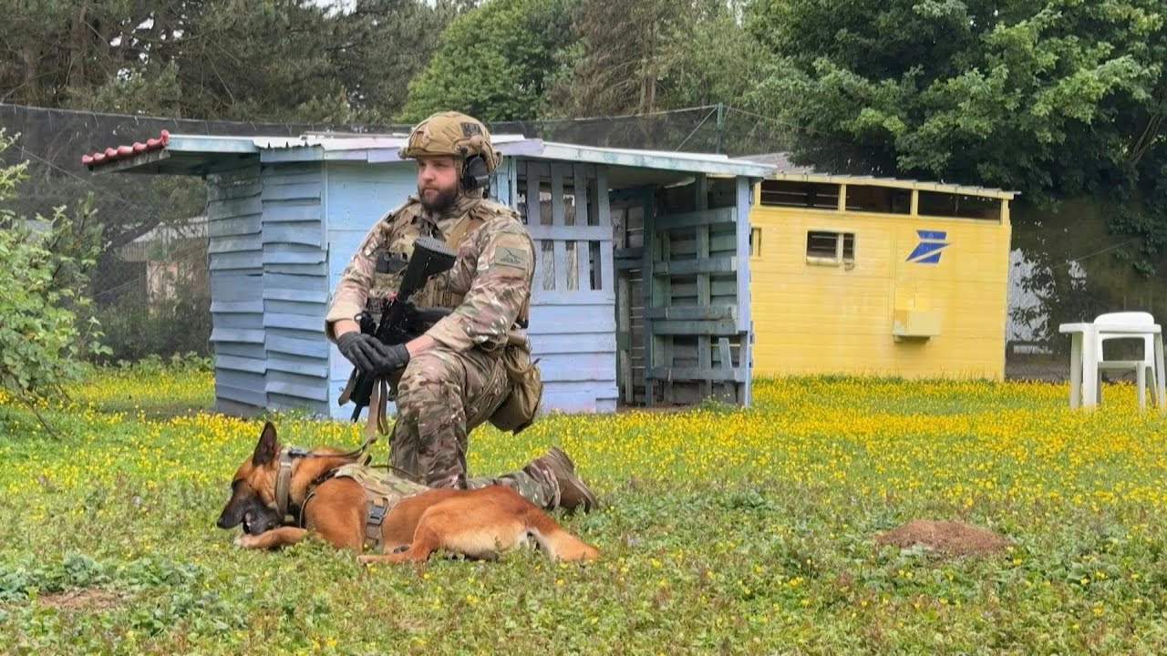 Peyo: France's first drone-guided military dog | AFP - YouTube