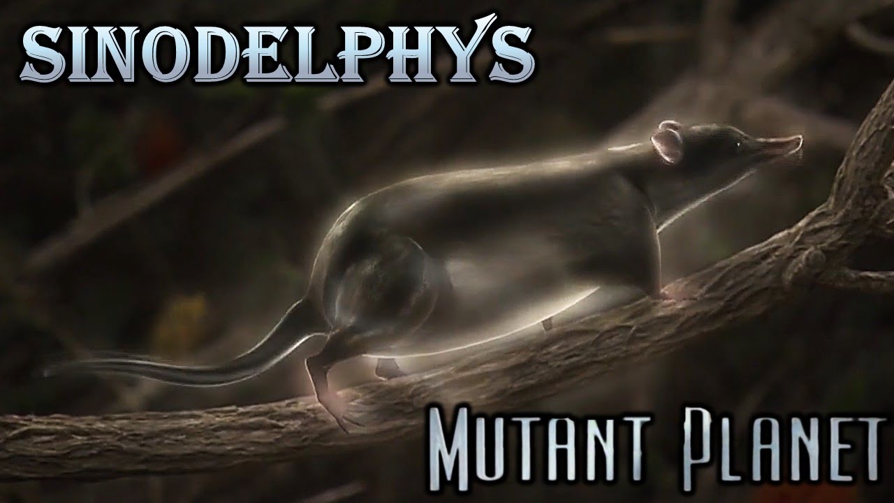 mutant Planet sinodelphys screen time - YouTube