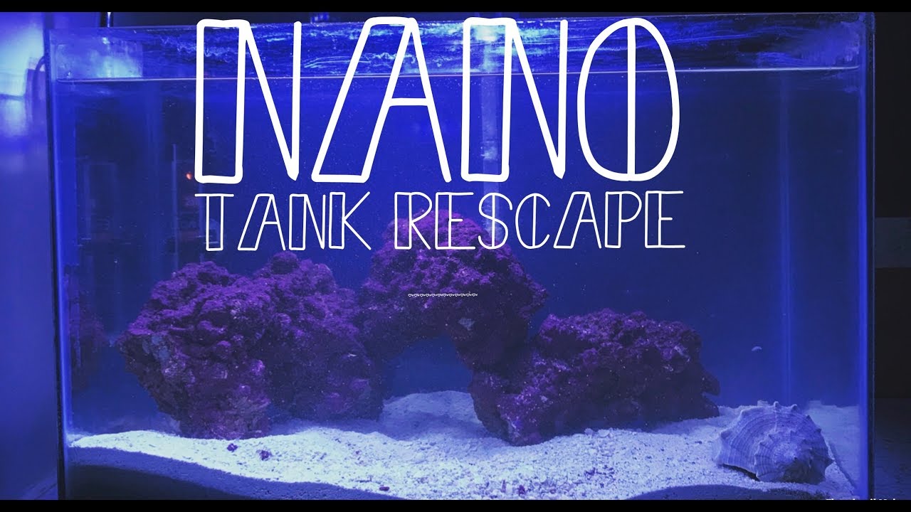 Nano Reef Live Rock Aquascape - YouTube