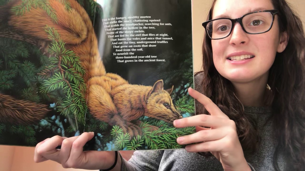 The Tree in the Ancient Forest Read Aloud Part 2 (3/17) - YouTube