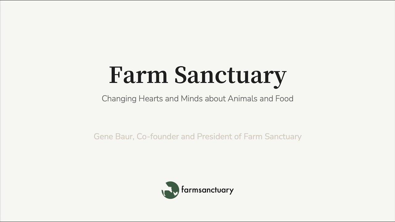 Animal Law Symposium 2025 | Gene Baur, The Farm Sanctuary - YouTube