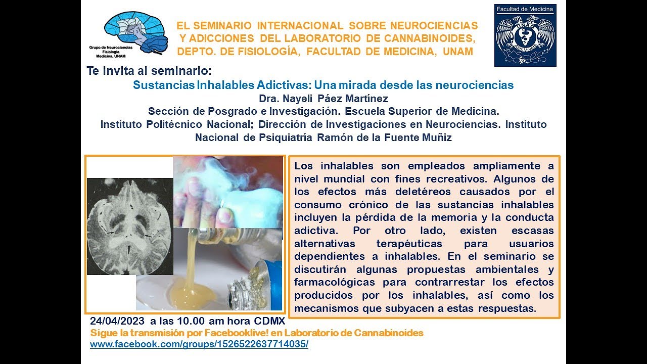 04 - Sustancias Inhalables Adictivas: Una mirada desde las ...