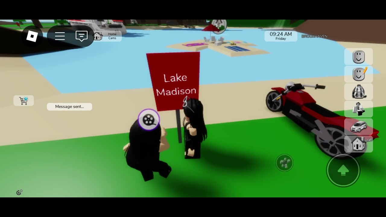 Secret room off "Mr. brookhaven" - YouTube